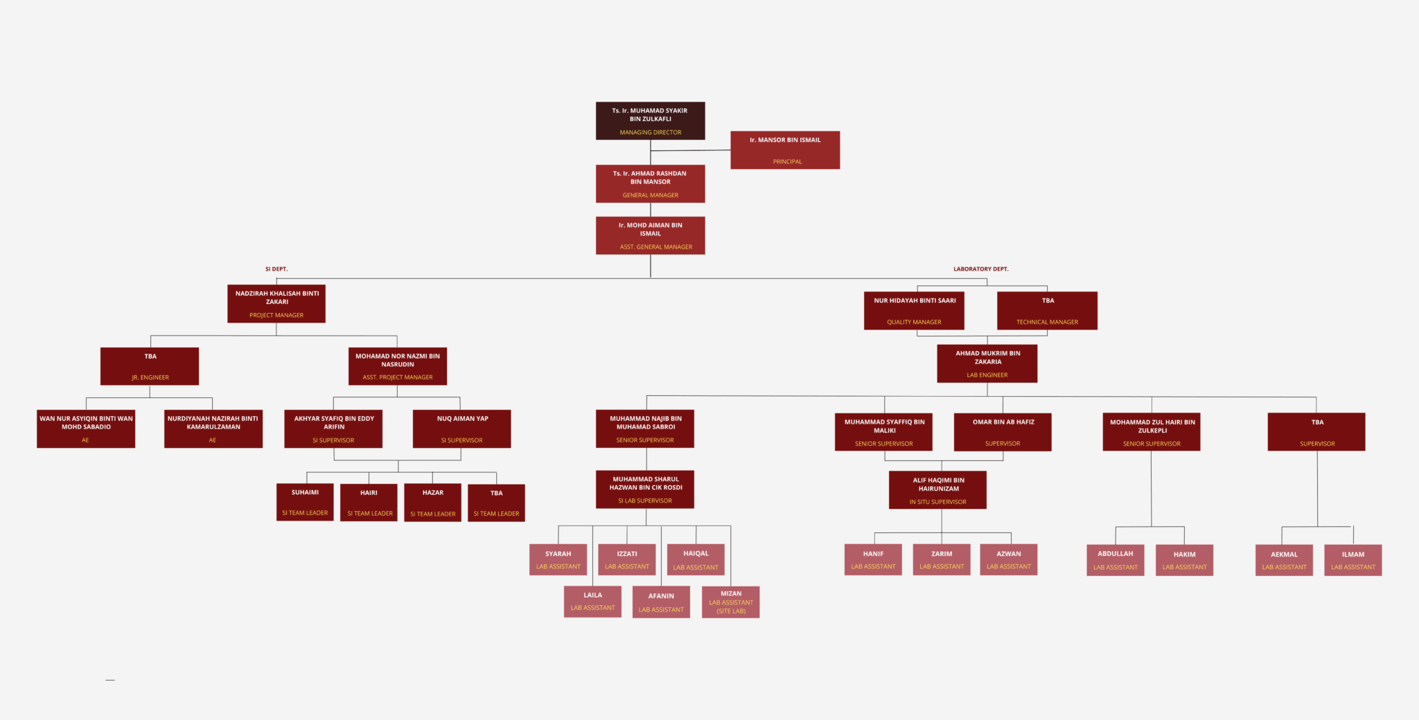 Organization Chart – Globallab Engineering